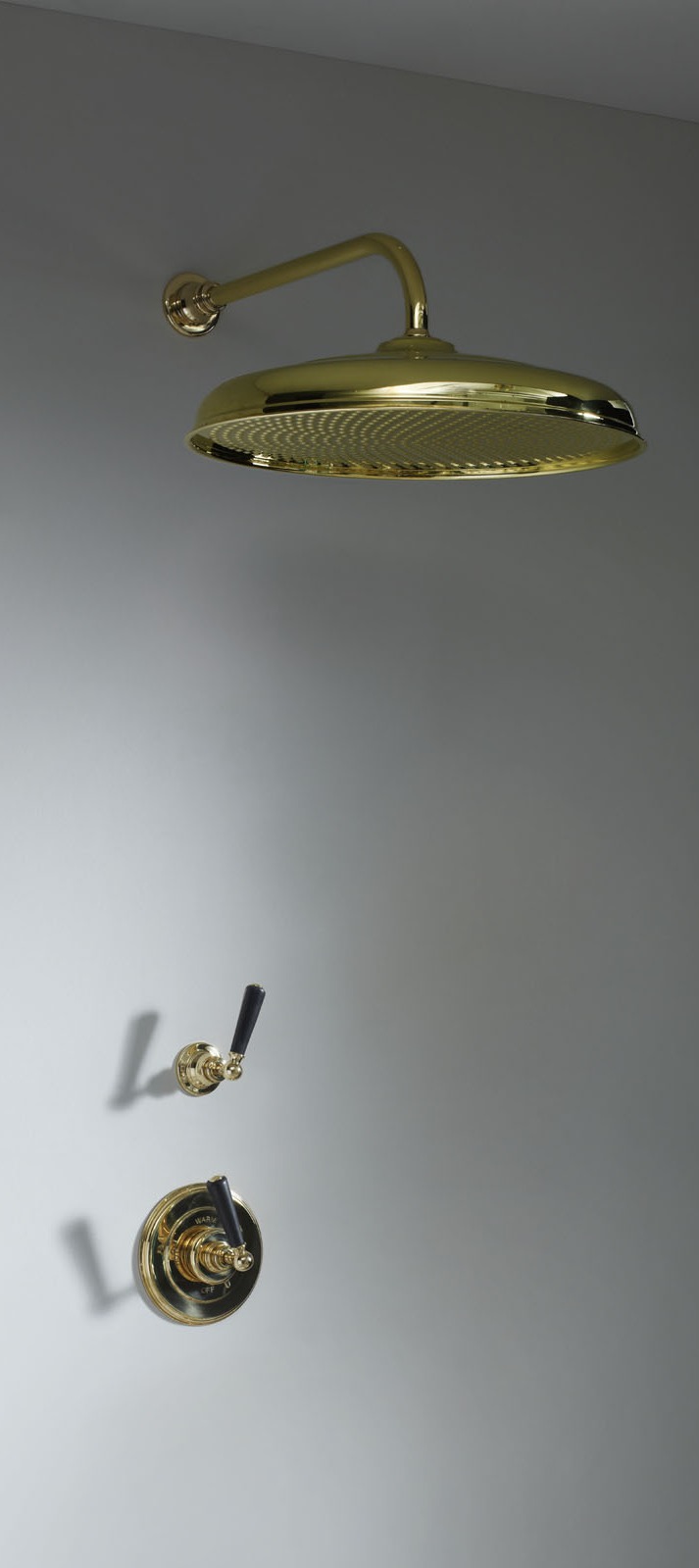 Soho concealed shower